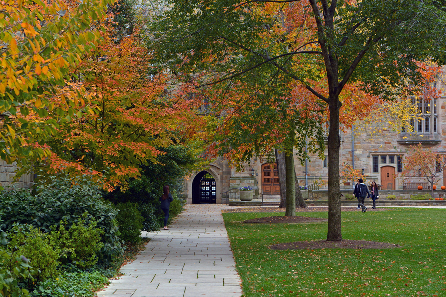 Undergraduates | Department of Mathematics